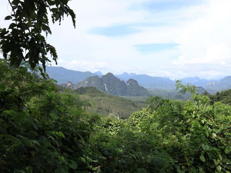 Khaosok Bamboo Raft & Night Safari (From Khaolak) - Bamboo Rafting on Sok River