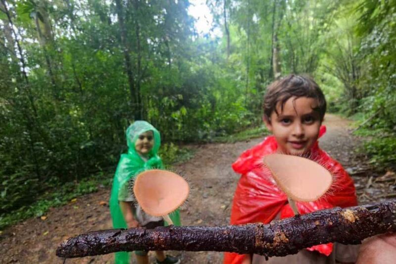 Khaosok: Bamboo Tube Cooking Day & Night Wildlife Experience - Who Should Take This Tour?