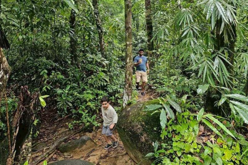 Khaosok: Bamboo Tube Cooking Day & Night Wildlife Experience - Concluding Thoughts