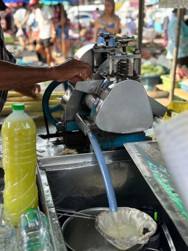 Khaosok: Jungle Walk & Bamboo Rafting with Local Market - Final Thoughts