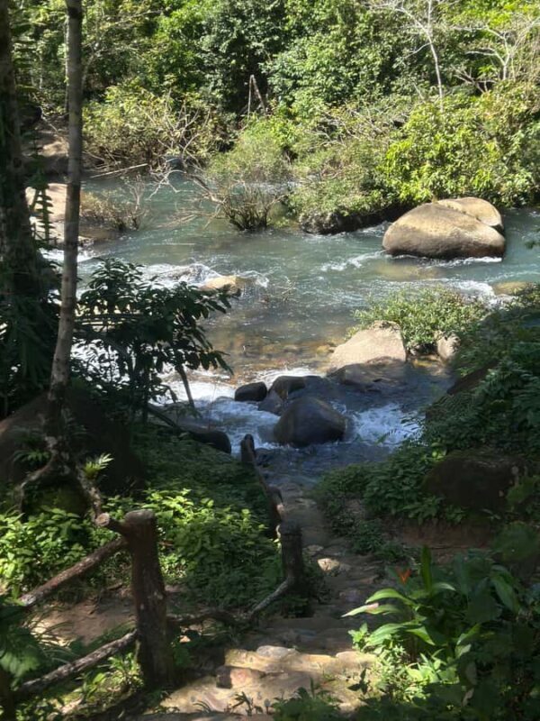 Khaosok: Jungle Walk & Bamboo Rafting with Local Market - FAQ