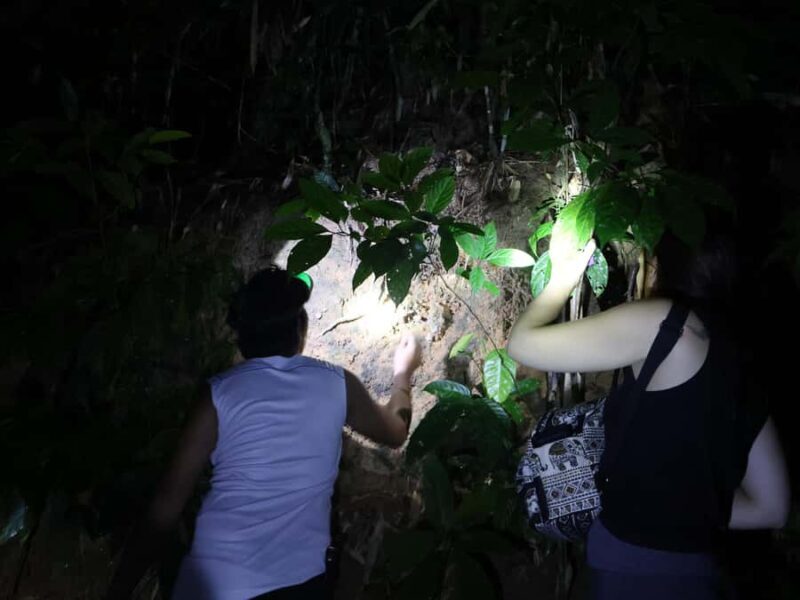 Khaosok Night Safari Experience (From Khaolak) - Key Points