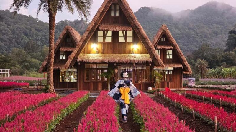 KHAOYAI : Wine Tasting Tour & Primo Piazza & Hokkaido Flower - Key Points