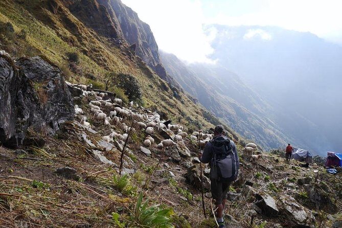 Khopra Danda Trek - Practical Tips for Potential Trekkers