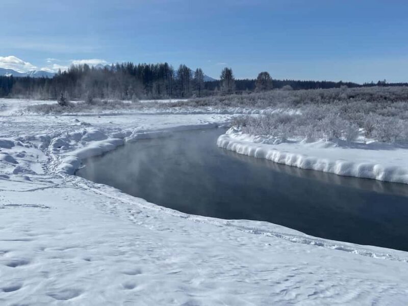 Khuvsgul Lake & Tsaatan Reindeer Herders Tour - Analyzing the Experience as a Whole