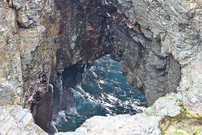 Kiama Blowholes, Sea Cliff Bridge and Royal National Park tour - Introduction