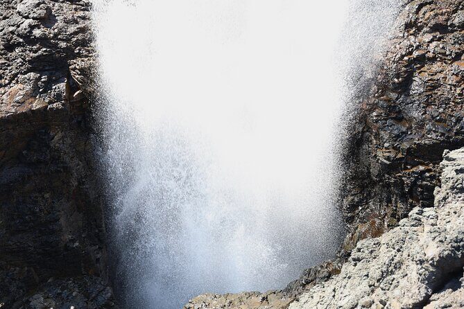 Kiama Blowholes, Sea Cliff Bridge and Royal National Park tour - The Sum Up