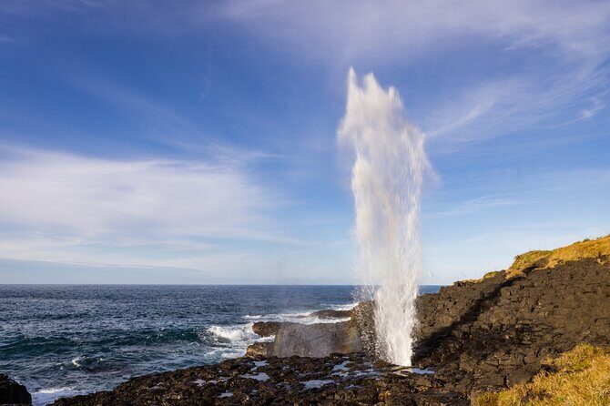 Kiama Coastal Day Tour in Sea Cliff Bridge Blowhole and Wildlife - Key Points