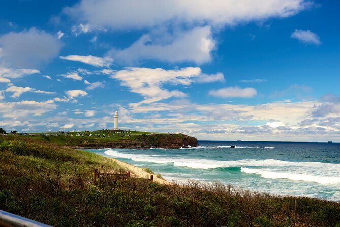 Kiama Coastal Day Tour in Sea Cliff Bridge Blowhole and Wildlife - Practical Aspects of the Tour
