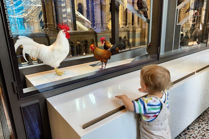 Kid-Friendly Natural History Museum & Dinosaurs Private Guided Tour in London - Frequently Asked Questions