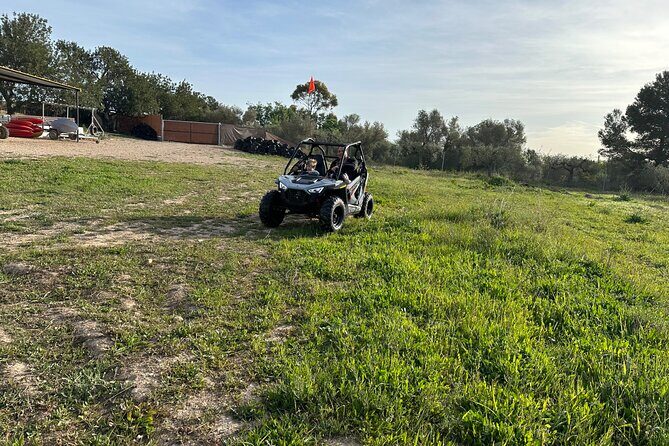 Kids Buggy Experience in Salou - The Sum Up: Is It Worth It?
