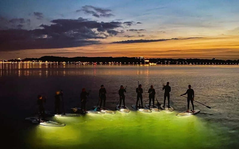 Kiel/Plön: glassSUP - guided night tour. Dive in without getting wet. - An In-Depth Look at the glassSUP Night Tour