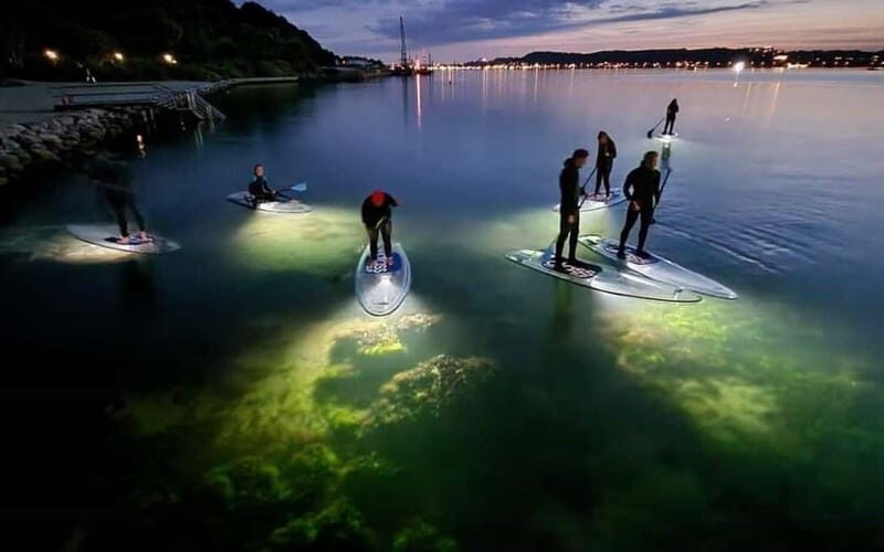Kiel/Plön: glassSUP - guided night tour. Dive in without getting wet. - Who Will Love This Tour?