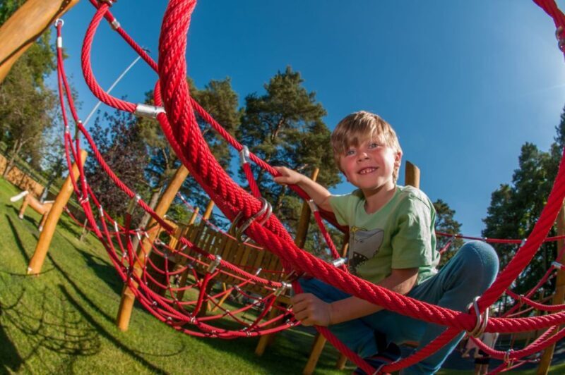 Kildare: Irish National Stud & Gardens - The Itinerary and What to Expect
