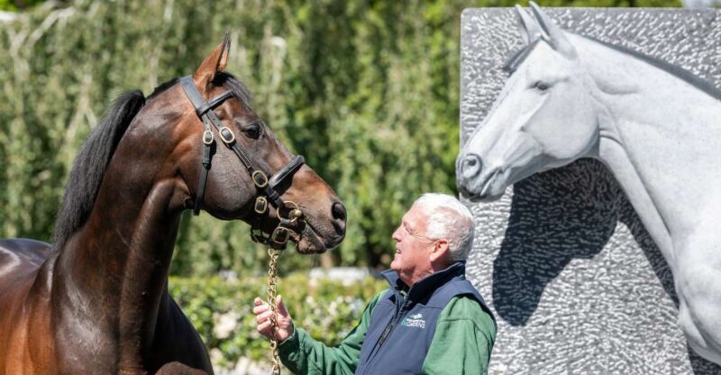 Kildare: Irish National Stud & Gardens - What Reviewers Say