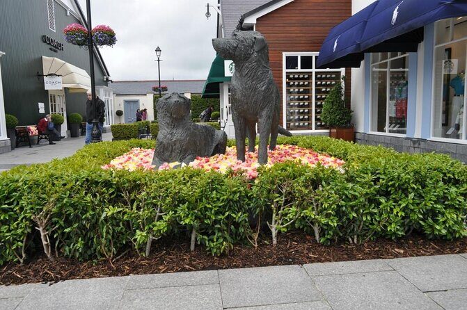 Kildare Village Shopping Trip from Belfast - Key Points