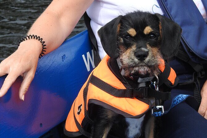 Kilkenny Boat Trip - Practical Details and Tips