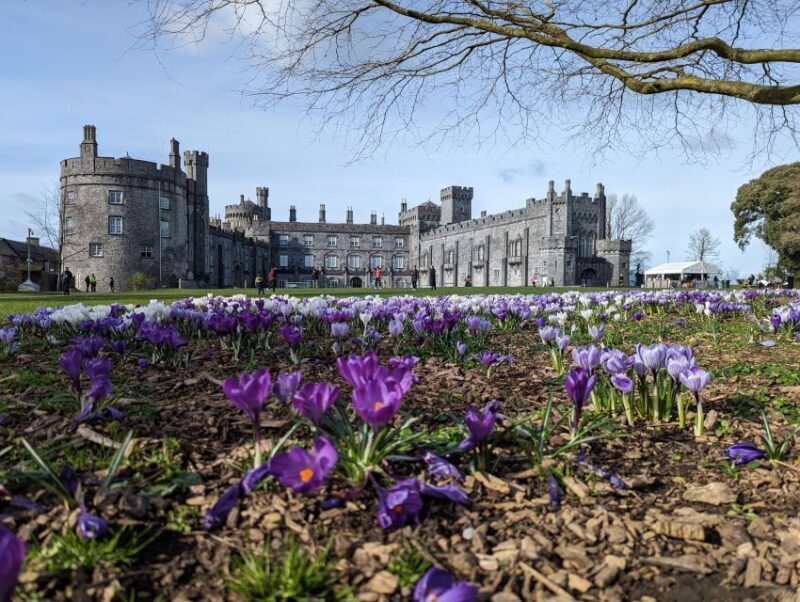 Kilkenny: Historical Highlights Walking Tour - FAQ: Kilkenny: Historical Highlights Walking Tour