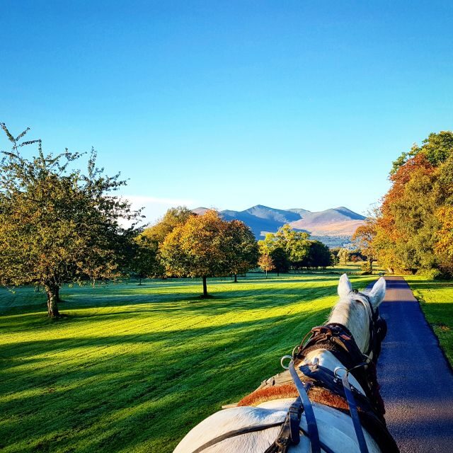 Killarney: 1-Hour Jaunting Car Horse and Carriage Tour - Introduction