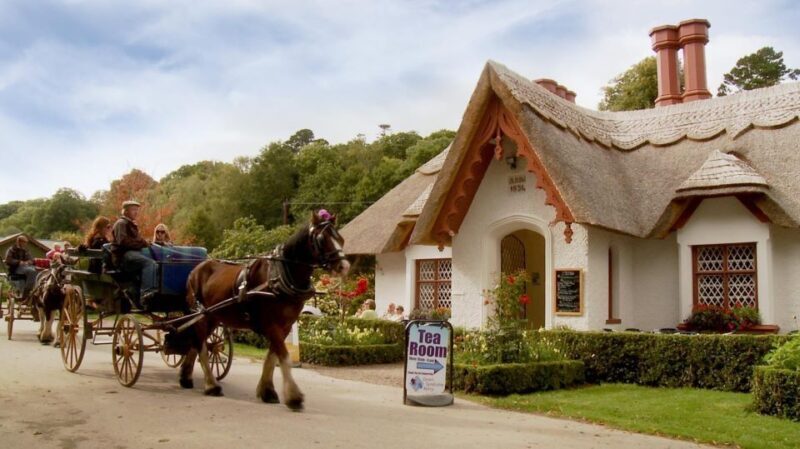 Killarney: 1-Hour Jaunting Car Horse and Carriage Tour - Key Points