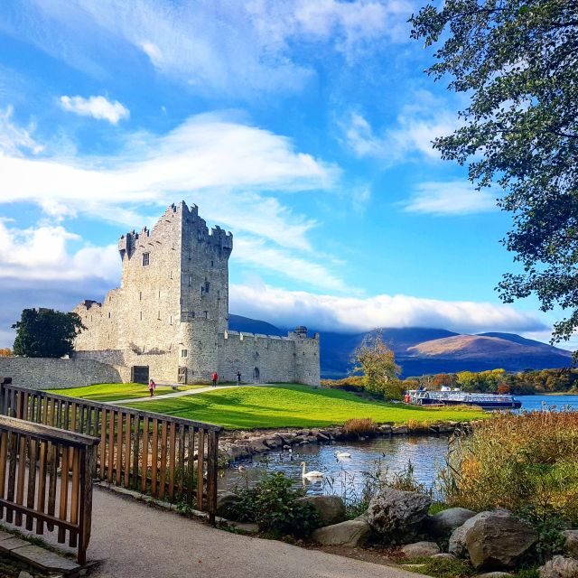 Killarney: 1-Hour Jaunting Car Horse and Carriage Tour - Who Will Love This Experience?