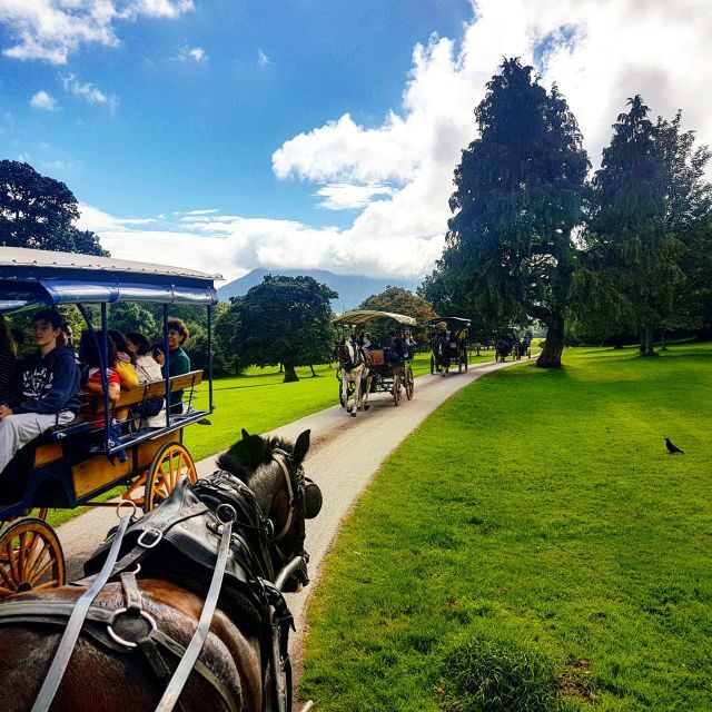 Killarney: 1-Hour Jaunting Car Horse and Carriage Tour - FAQ