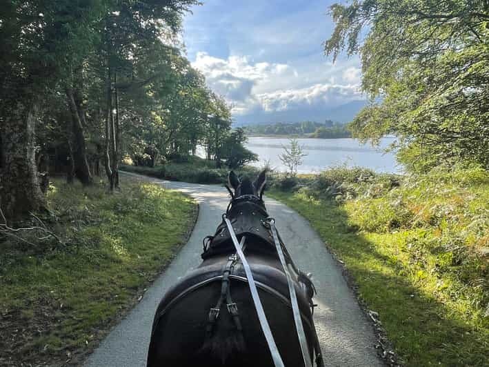 Killarney Carriage Tours National Park and Lakes - Frequently Asked Questions