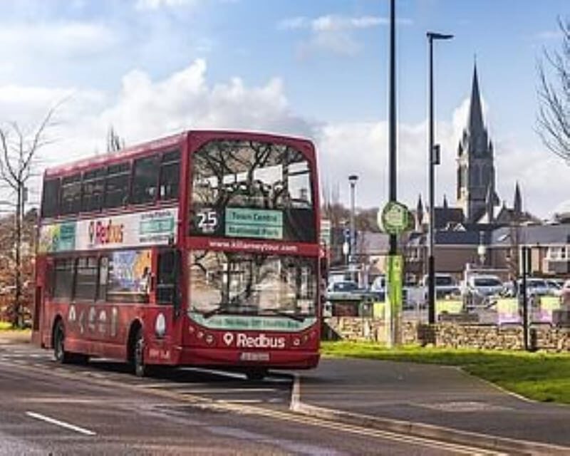 Killarney: Hop-On Hop-Off Bus to Killarney National Park - Key Points