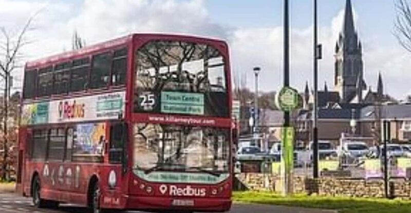 Killarney: Hop-On Hop-Off Bus to Killarney National Park - Who Is This Tour Best For?