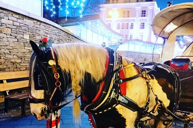 Killarney Jaunting Car Tour - The Appeal of a Jaunting Car Ride in Killarney