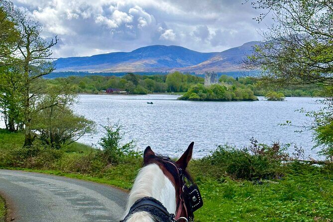 Killarney Jaunting Car Tour - Why Travelers Keep Coming Back