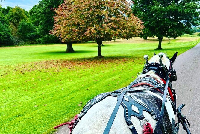 Killarney Jaunting Car Tour - The Value: Why It’s Worth the Price