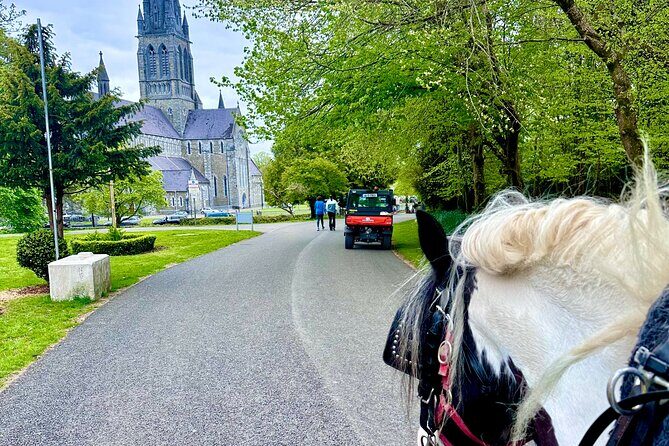 Killarney Jaunting Car Tour - Who Should Consider This Tour?