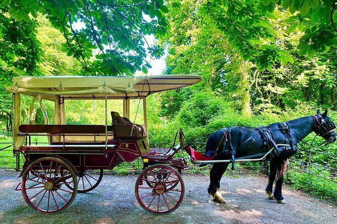 Killarney Jaunting Car Tour - Practical Tips for Participants