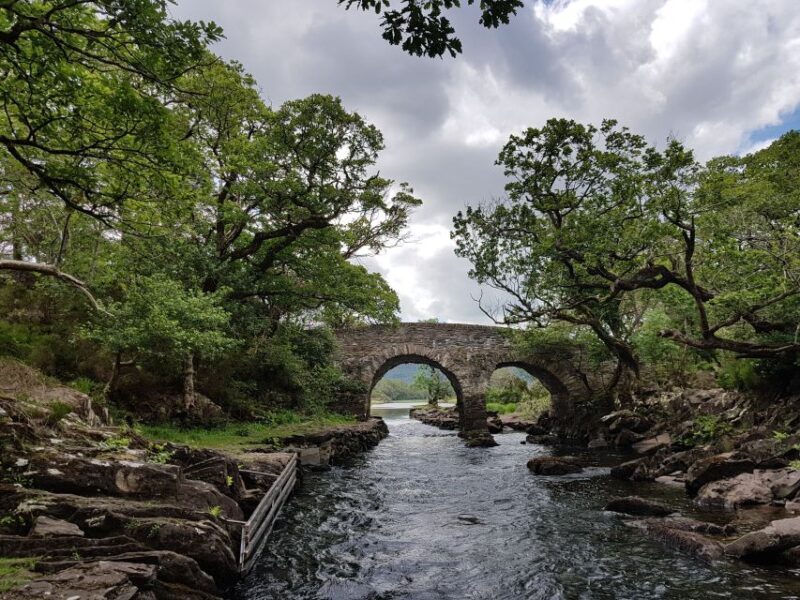 Killarney: Lakes of Killarney Boat Tour with Transfer - Key Points