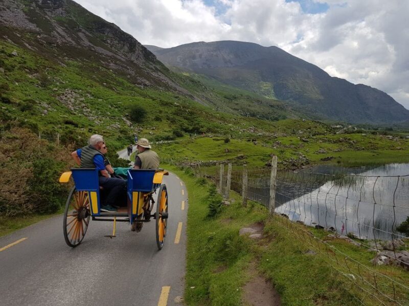 Killarney: Lakes of Killarney Boat Tour with Transfer - Final Thoughts on Value and Experience