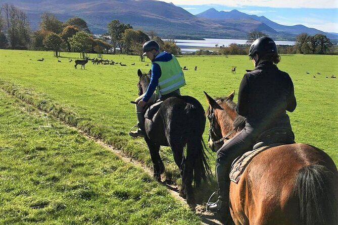 Killarney National Park Horseback Ride. Co Kerry. Guided. 3 hours. - Authentic Experiences and Real Feedback