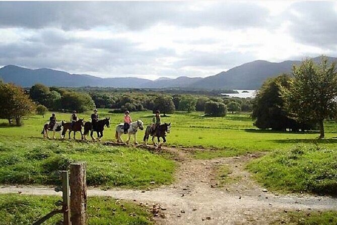 Killarney National Park Horseback Ride. Co Kerry. Guided. 3 hours. - Practical Tips for Participants