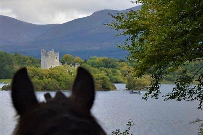Killarney National Park Horseback Ride. Co Kerry. Guided. 3 hours. - Final Words: Is This Tour for You?