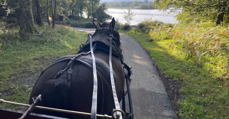 Killarney National Park Jaunting Car Tour - Introducing the Killarney National Park Jaunting Car Tour