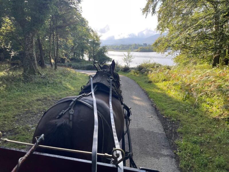Killarney National Park Jaunting Car Tour - Key Points