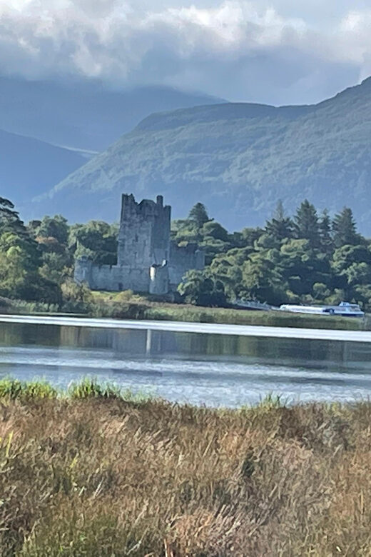 Killarney National Park Jaunting Car Tour - Authentic Insights and Real Traveler Feedback