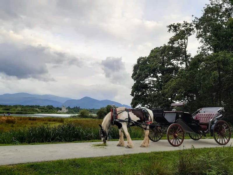 Killarney National Park Tour - Killarney National Park Tour: A Relaxed Ride Through Ireland’s Scenic Heartland
