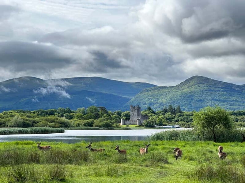 Killarney National Park Tour - Final Thoughts