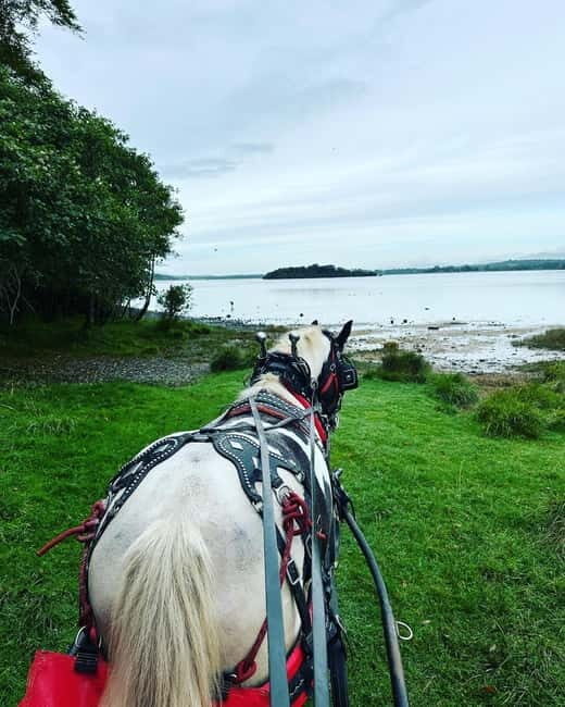 Killarney National Park Tour - FAQs About the Killarney National Park Horse & Carriage Tour