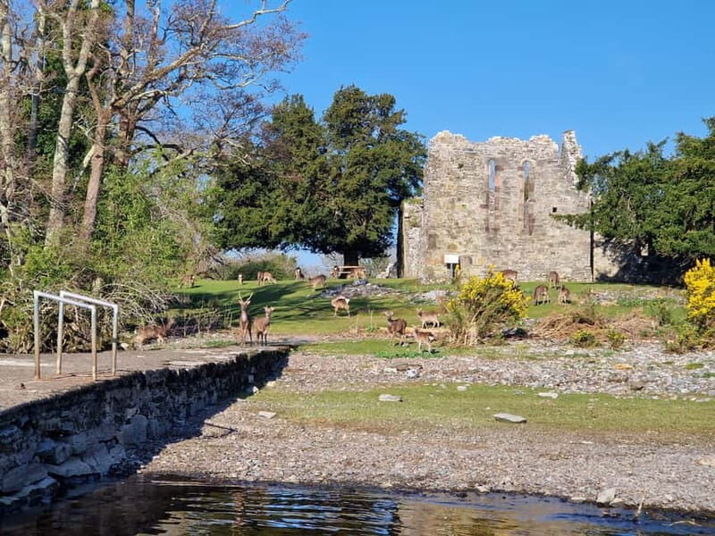 Killarney: Orienteering Boat Tour on the Lakes of Killarney - Authentic Voices and Practical Insights