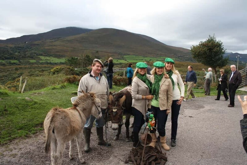 Killarney: Ring of Kerry Bus Tour - An In-Depth Look at the Killarney: Ring of Kerry Bus Tour