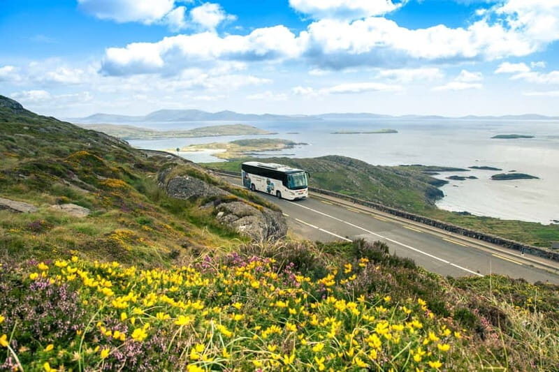 Killarney: Ring of Kerry Bus Tour - FAQ