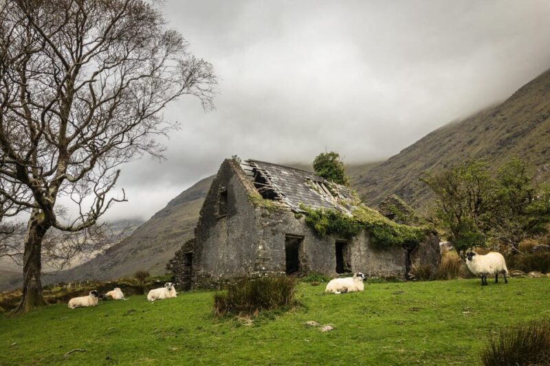 Killarney: The Ring of the Reeks - Backroads Rural Tour - Key Points