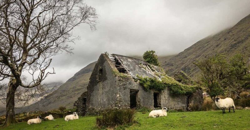 Killarney: The Ring of the Reeks - Backroads Rural Tour - Why This Tour Offers Great Value
